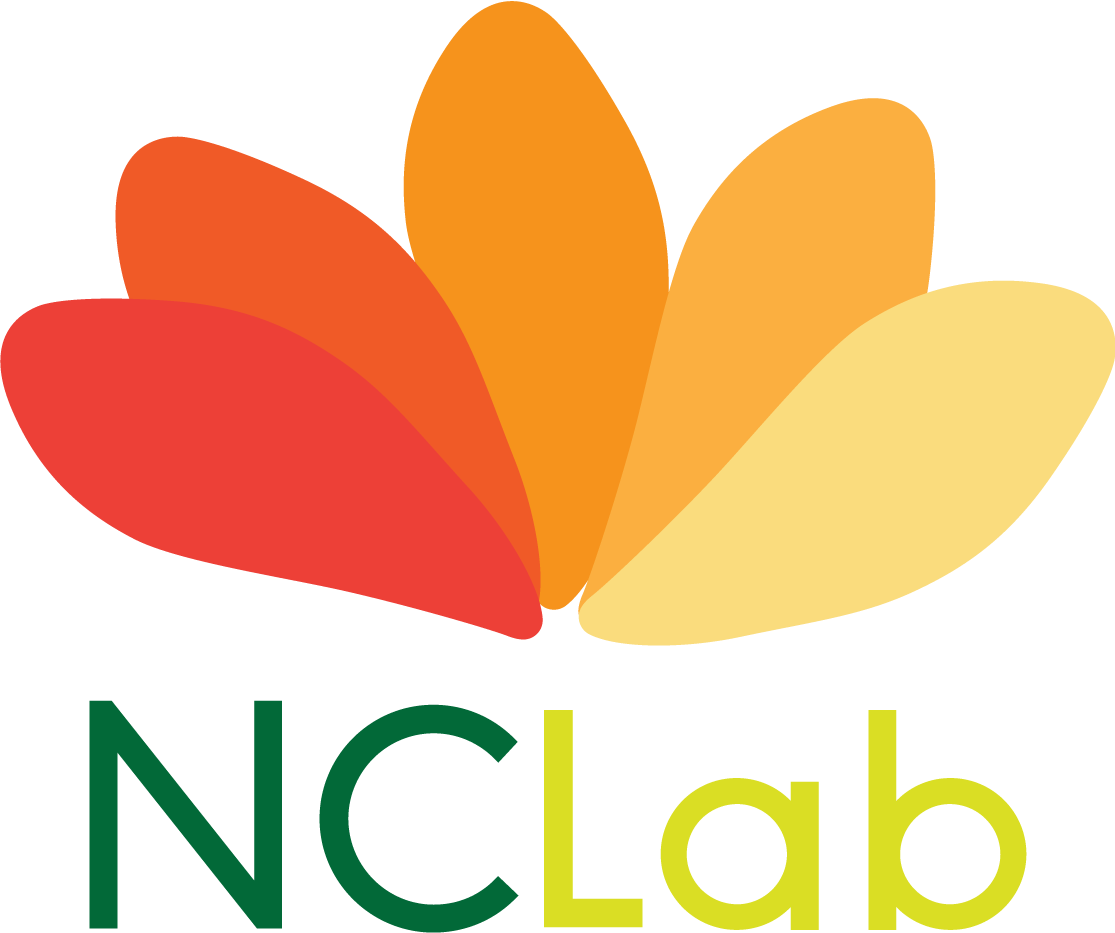 NClab Cosmética | Formulación Cosmética Paso a Paso